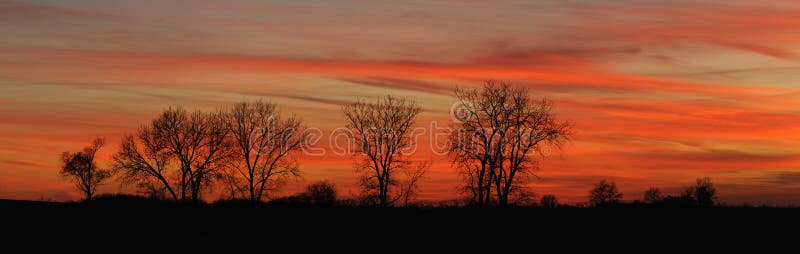 Twilight Tree Line (Panoramic) Stock Photo - Image of twilight, black ...