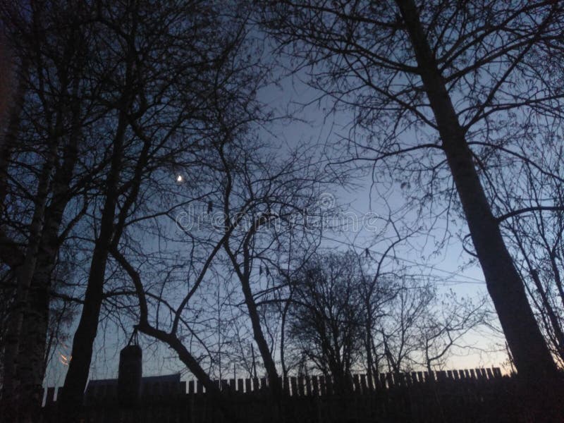 Twilight stock photo. Image of evening, trees, twilight - 163285530