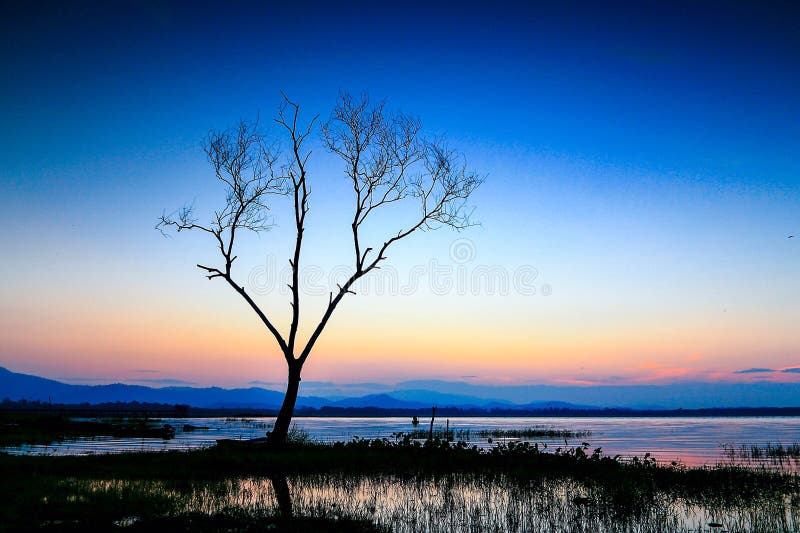 Twilight view stock photo. Image of sunlight, atmosphere - 53690842