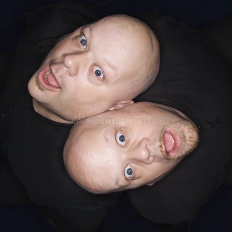 Twin bald men. stock image. Image of eyed, indoors, kinship - 2431223