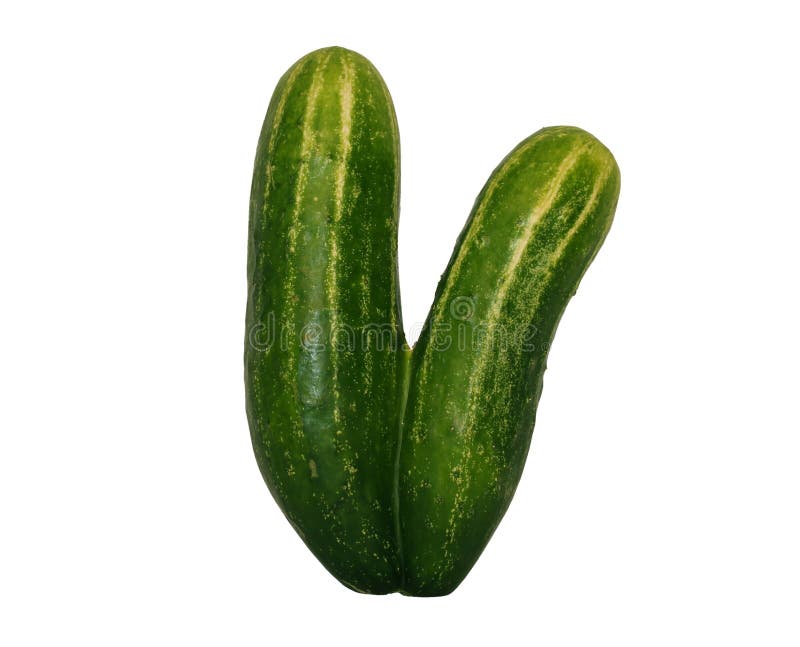Twin cucumber isolated stock photo. Image of twin, green - 20100800