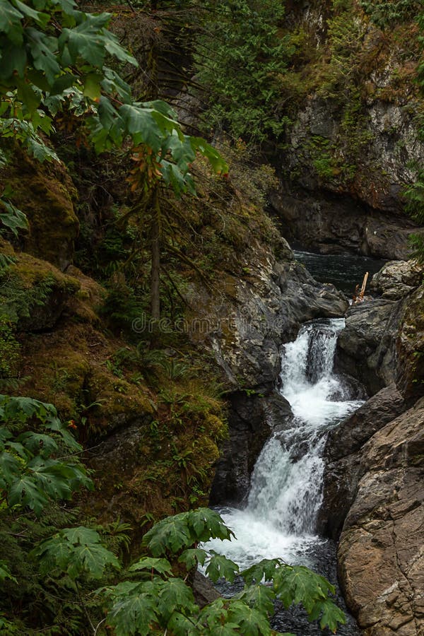 Twin Fall in Pacific Northwest Washington during August Stock Photo ...