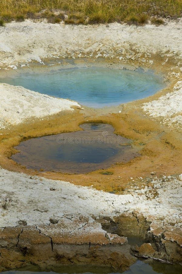 Twin Geyser with Orange Microbial Mats, Yellowstone National Par Stock ... Twin Geyser with Orange Microbial Mats, Yellowstone National Par Stock ...
