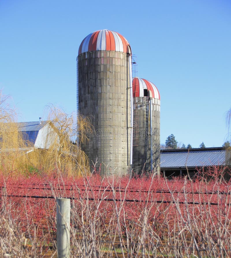 Two Silos on a Farm stock image. Image of countryside - 24811189