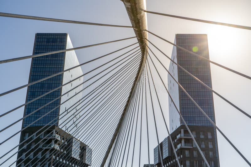 Twin Modern Office Buildings with Reflective Facades Behind a Modern ...