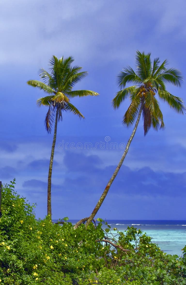 1,002 French Twin Lesbians Stock Photos - Free & Royalty-Free Stock ...