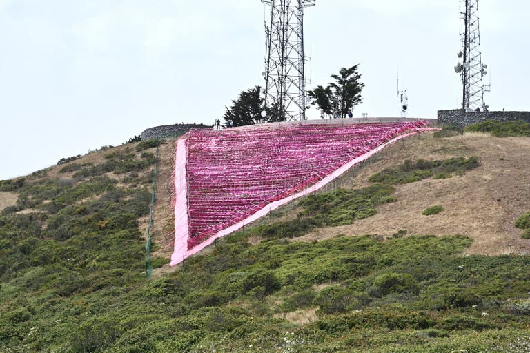 Streamers Triangle Stock Photos - Free & Royalty-Free Stock Photos from ...