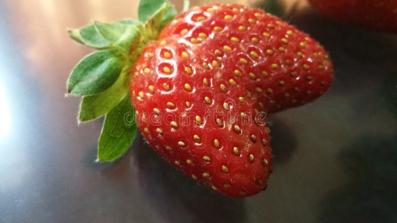 Twin Strawberry Red Strawberry Unique Fruit Stock Photo - Image of twin ...
