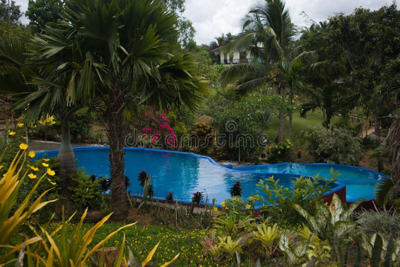 Twin Swimming Pool stock photo. Image of backyard, vegetation - 222660718