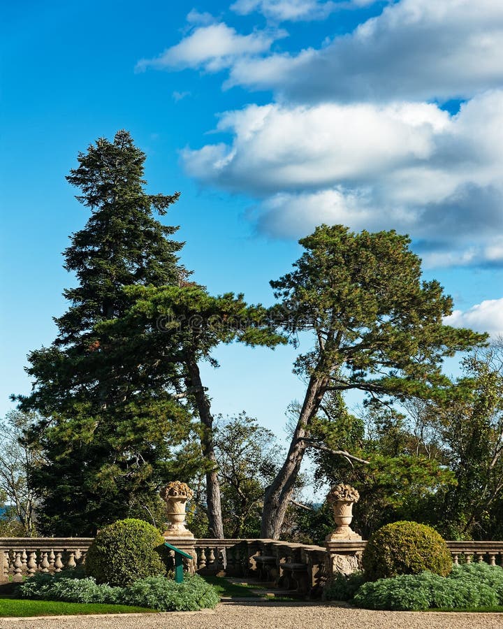 Twin Trees Form a V Shape in the Background of the Spacious Driveway of ...
