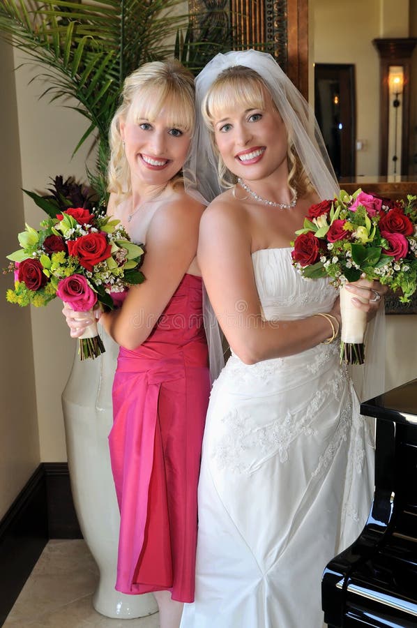 Twins stock image. Image of marriage, bouquet, sisters - 11144525