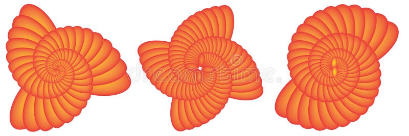 Twirl Star Shell Swirl Vector EPS10 Stock Vector - Illustration of ...