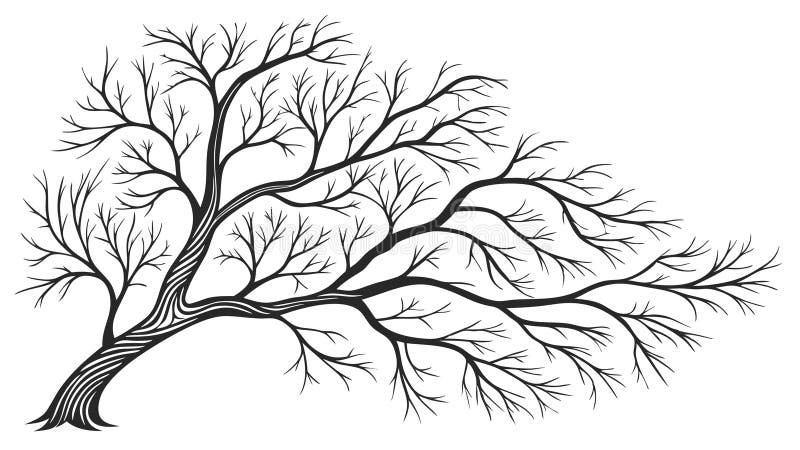 Twisted Bare Tree Drawing Illustration, Vector Design Generative AI ...