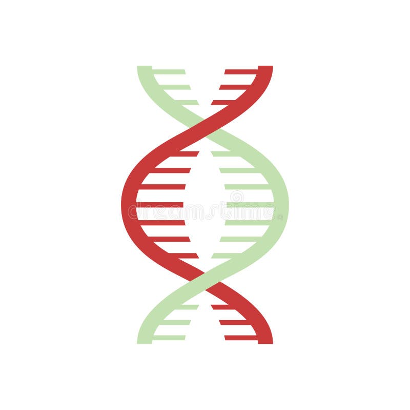 Twisted DNA Molecule Isolated Genetic Code Icon Stock Vector ...