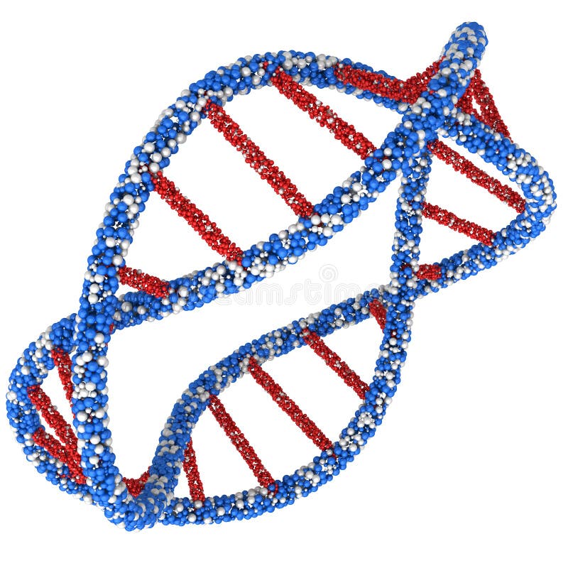 Twisted DNA Molecule of Red and Gray Balls Stock Illustration ...