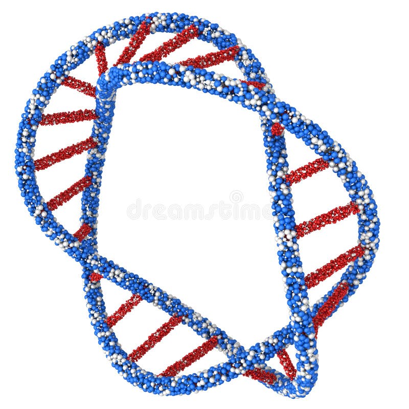 Twisted DNA in the Ring. 3d Render on a White Stock Illustration ...