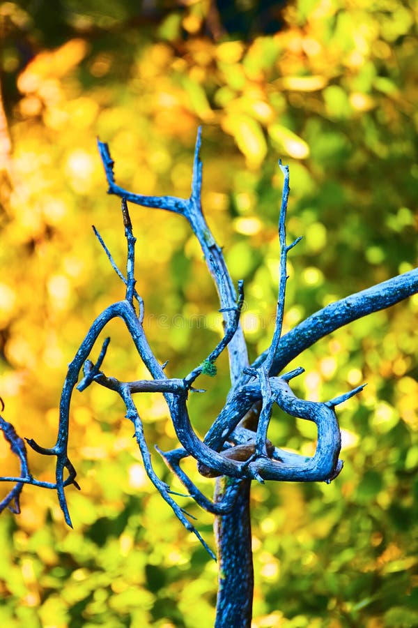 Twisted, Mangled Tree Limb Resembling Discarded Antler with Blurred ...