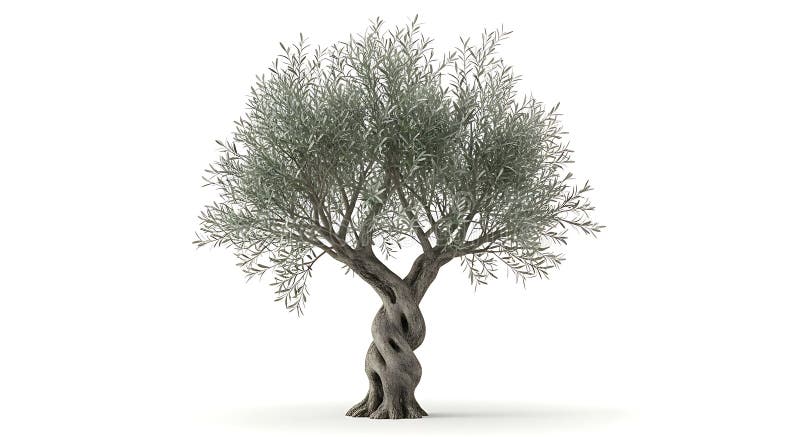 Twisted Olive Tree Stock Illustrations – 263 Twisted Olive Tree Stock ...