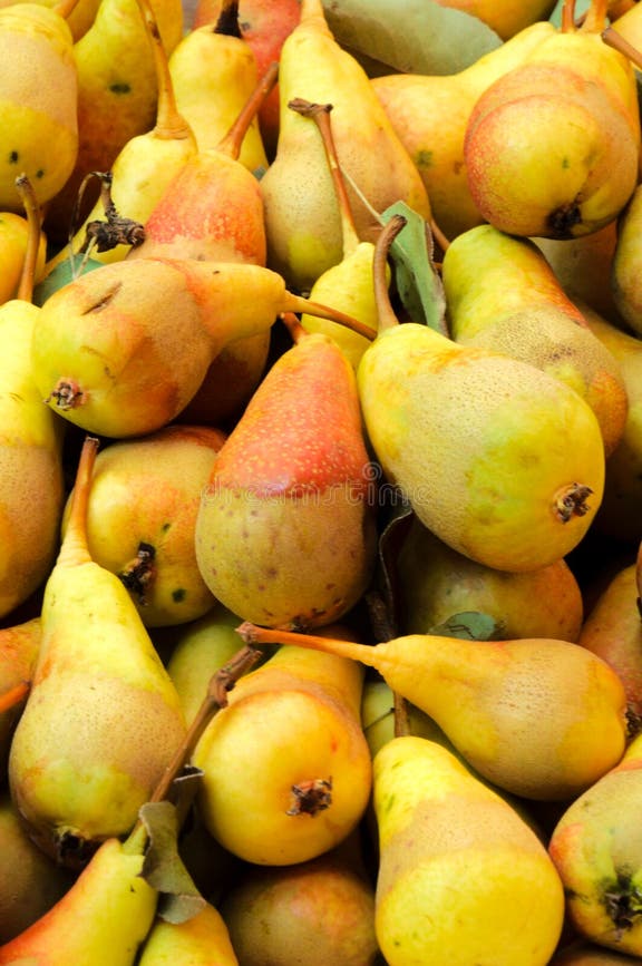 Twisted pear stock photo. Image of crop, health, grocery - 25776240