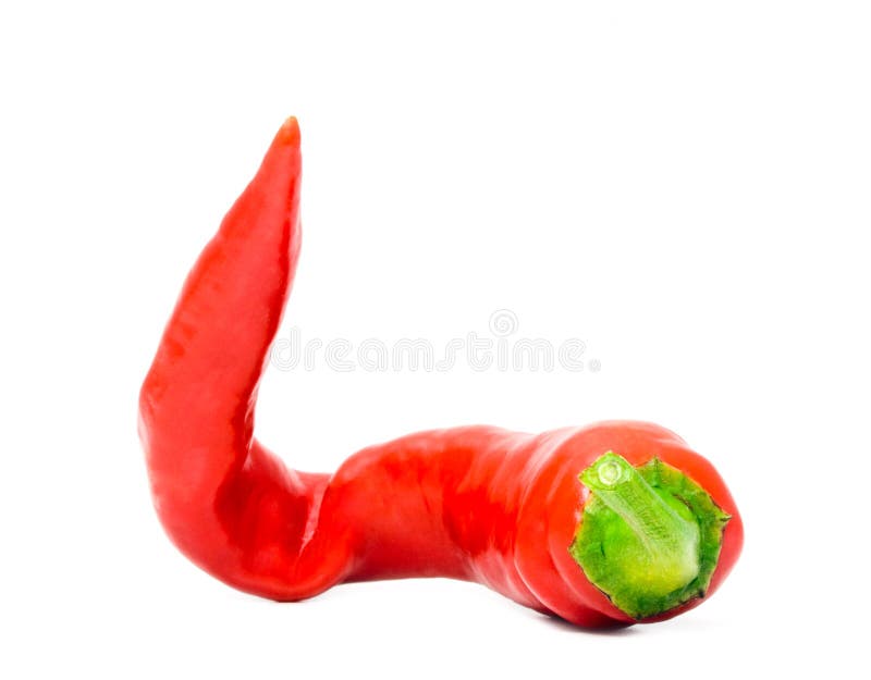 Twisted pepper stock photo. Image of abstract, background - 11385746
