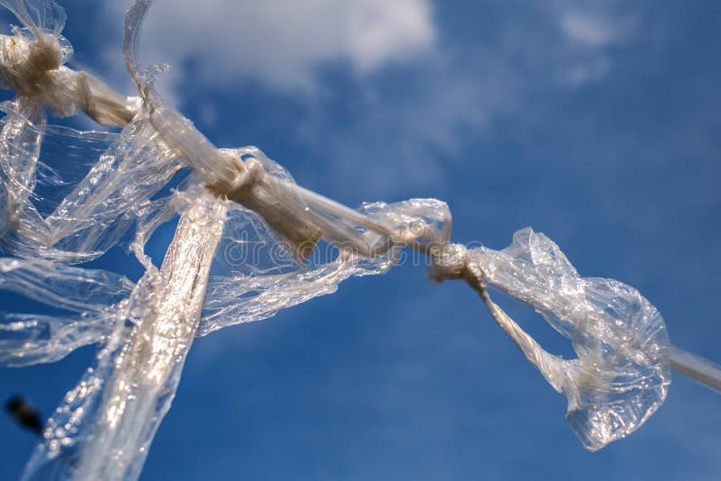 Twisted Plastic Bag on Blue Sky Stock Photo - Image of bottle, recycled ...