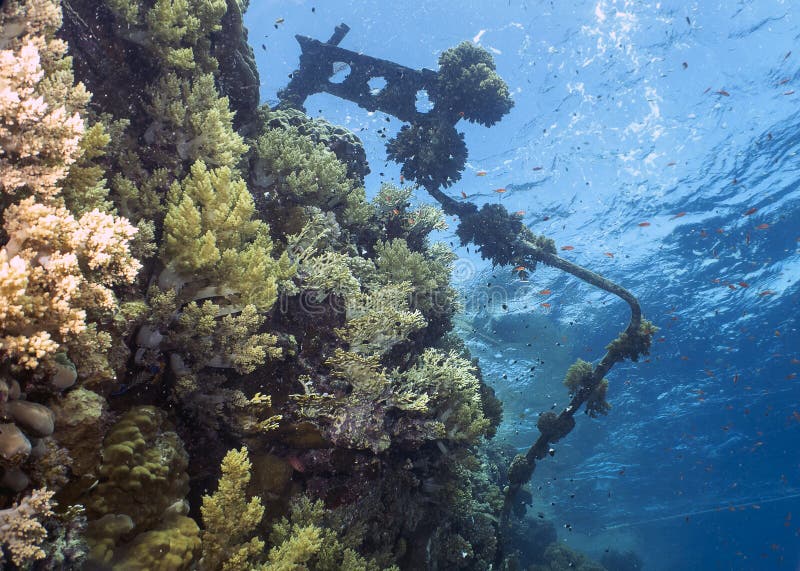 The Twisted Remains of a Jetty on a Coral Reef in the Red Sea Stock ...