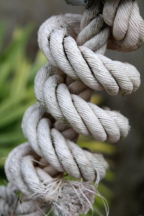 Twisted rope stock photo. Image of threads, white, tight - 40963776