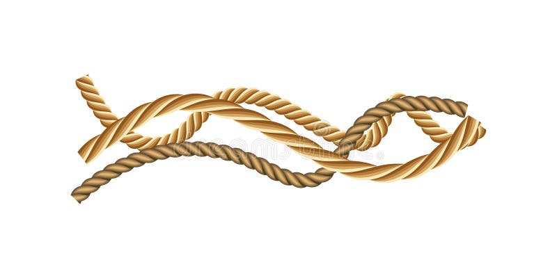 Twisted and Straight Rope Set. Vector Design Elements Stock Vector ...