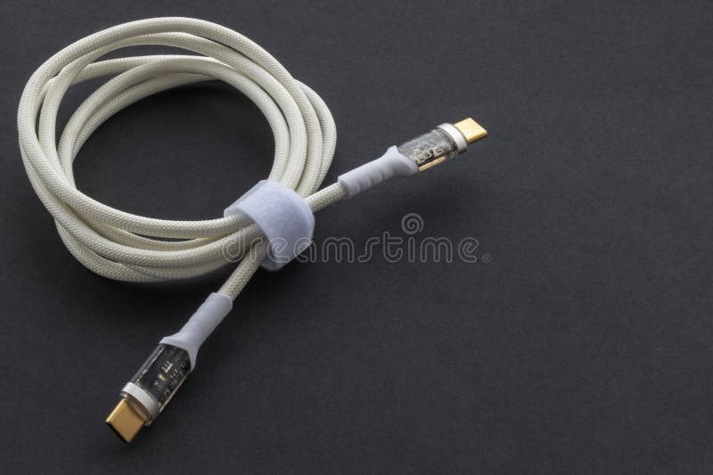 Twisted Universal USB Type-c 100W Cable with a Modern Connector for ...