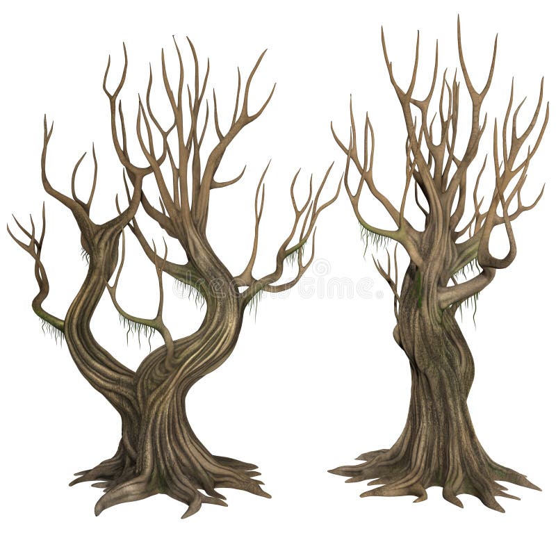 Twisted Old Trees with Bare Branches Stock Photo - Illustration of ...