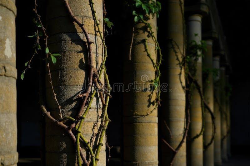 Twisting Pillars Stock Illustrations – 15 Twisting Pillars Stock ...