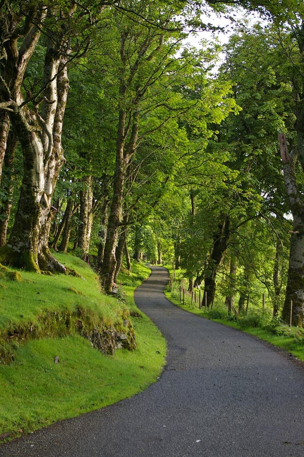 Twisting road stock image. Image of street, dawn, road - 1004651