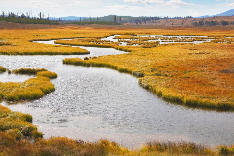 A Stream, Small Island with Grass and Bushes Stock Image - Image of ...