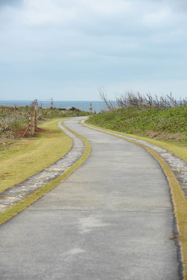 Sunny road field stock image. Image of landscape, field - 58770975
