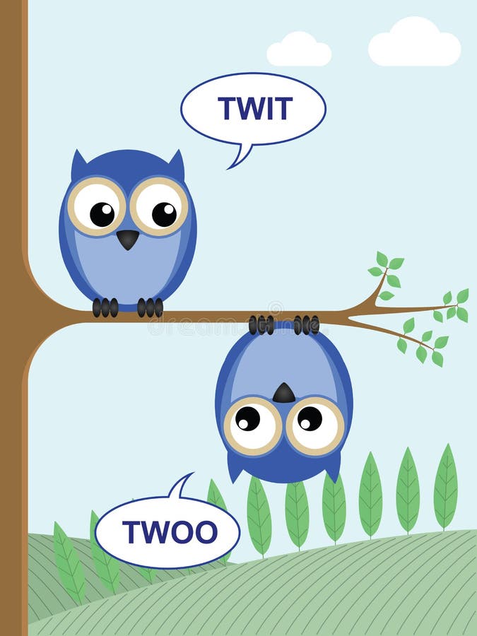 Twit twoo stock vector. Illustration of converse, dialogue - 22817763