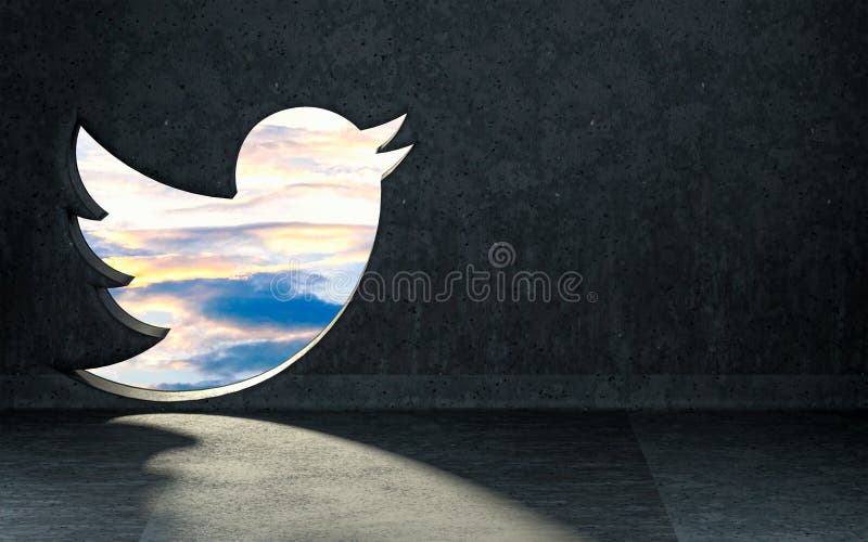 Twitter Social Icon Showing Inside of Interior with Sunray Shiny ...