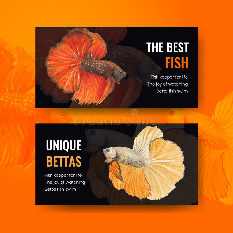 Twitter Template with Betta Fish Concept,watercolor Style Stock Vector ...