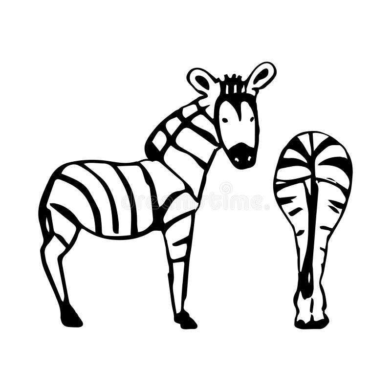 Two abstract Zebra stock vector. Illustration of african - 74372224