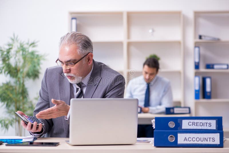 Two Accountants Working in the Office Stock Image - Image of employer ...