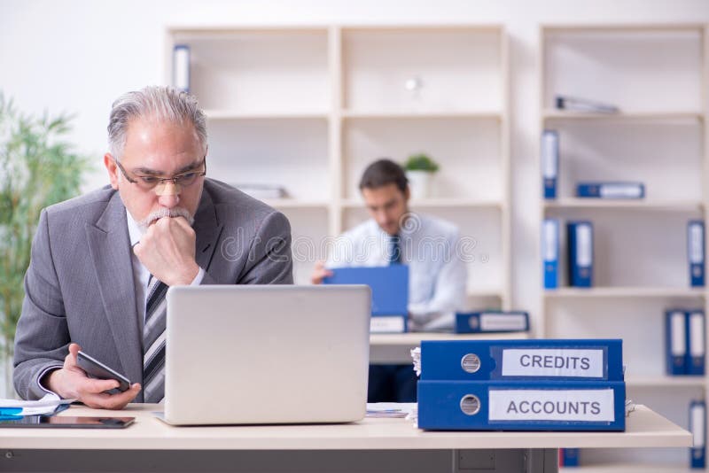 Two Accountants Working in the Office Stock Image - Image of accountant ...