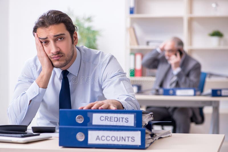 Two Accountants Working in the Office Stock Image - Image of consultant ...