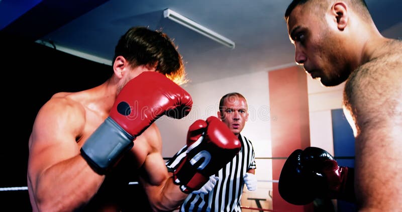 Two Boxers Fighting in Boxing Ring Stock Footage - Video of athletics ...