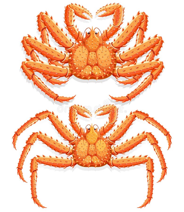 King Crab Clipart