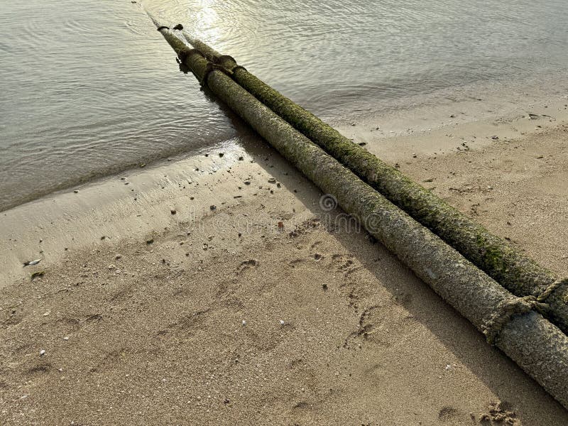 Two Algae-covered Concrete Pipes Stretch from the Sandy Beach into the ...