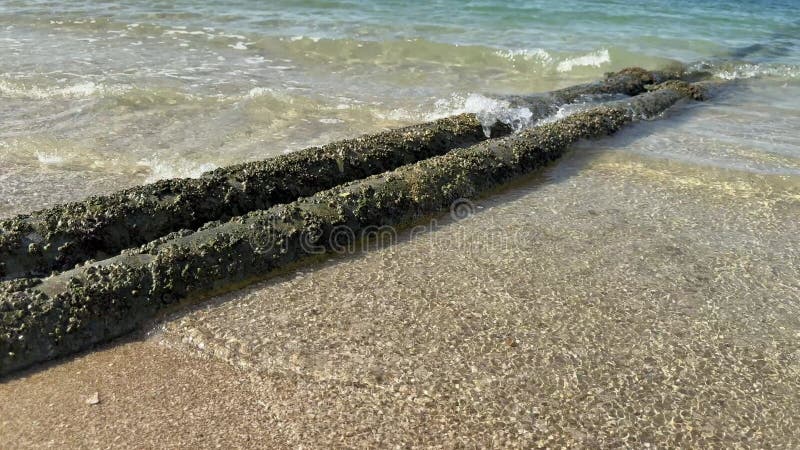 Two Algae-covered Pipes Stretch from Sandy Beach into Shallow, Rippling ...