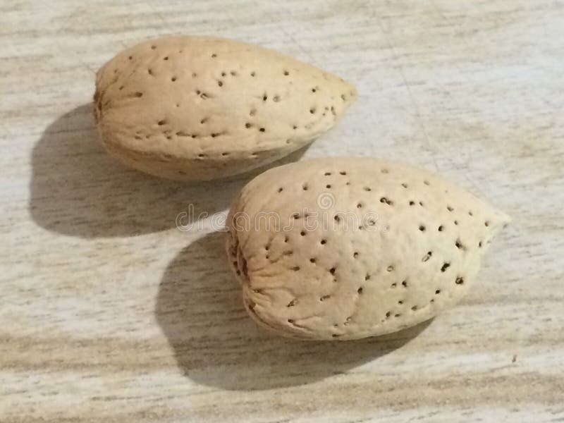 Two almonds stock image. Image of almonds, table, laying - 75045495