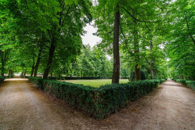 Two Alternative Paths in Public Parks with Dirt Trails on Both Sides ...