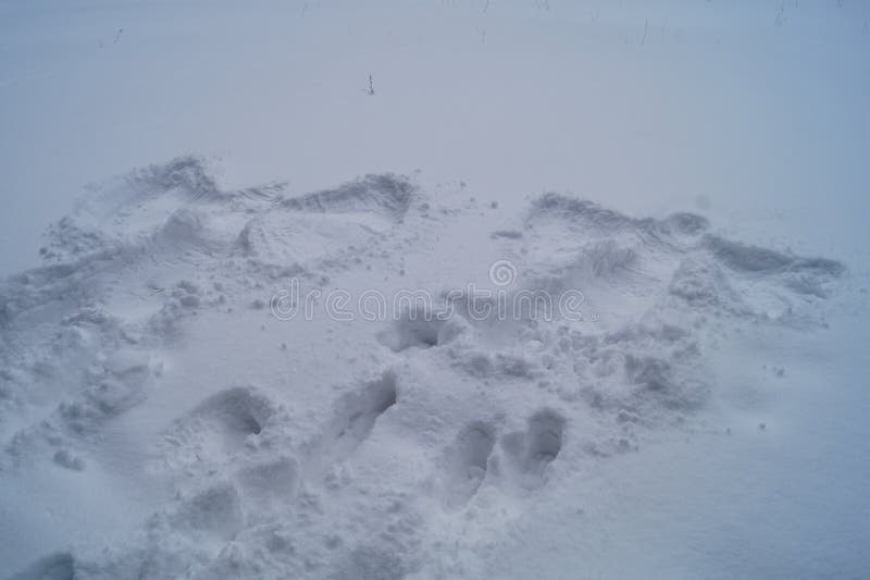 Two angels on the snow stock image. Image of white, angels - 144420193