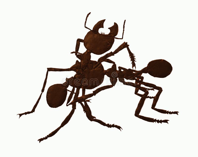 Two ants stock image. Image of arthropods, wild, warrior - 36412387