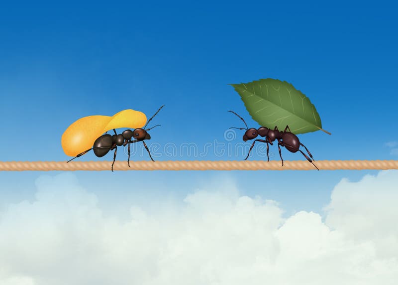 Two Ants with Potato and Leaf Stock Illustration - Illustration of ...